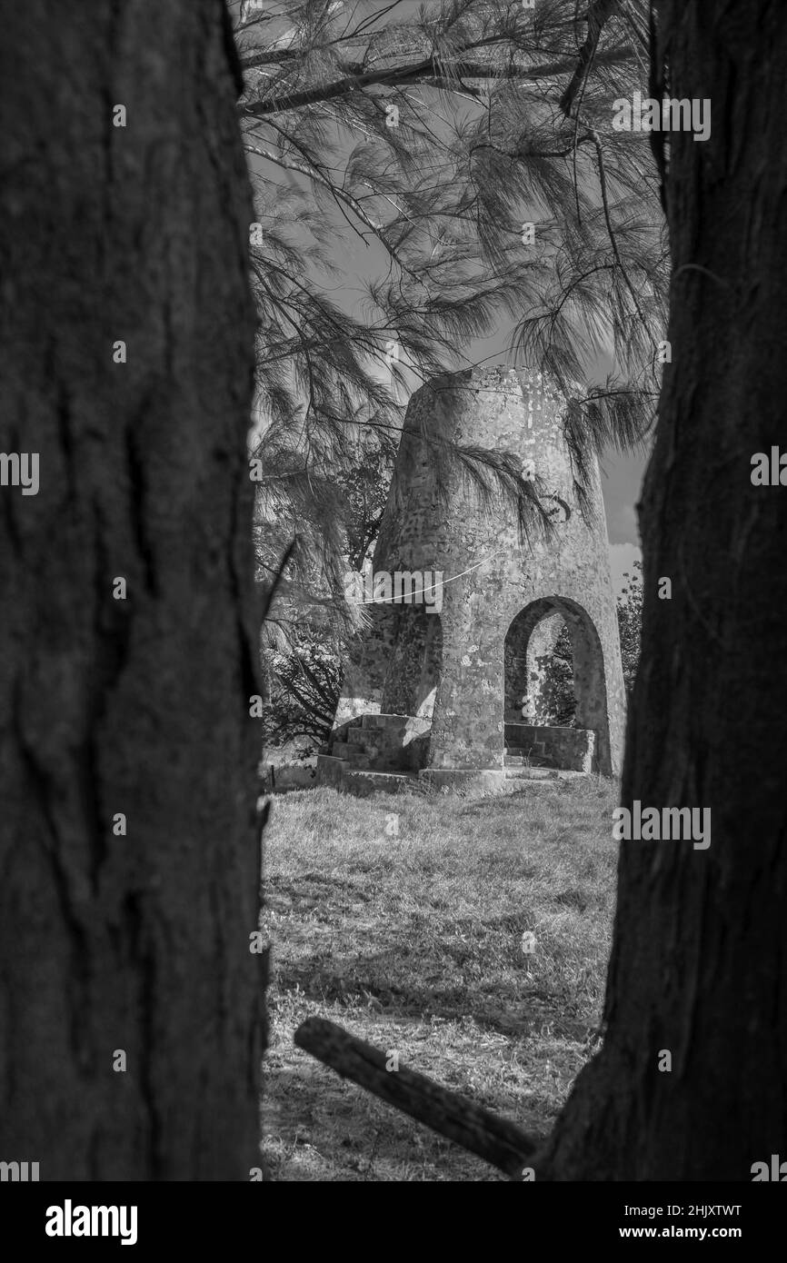 Stone columns trees in Black and White Stock Photos & Images - Alamy