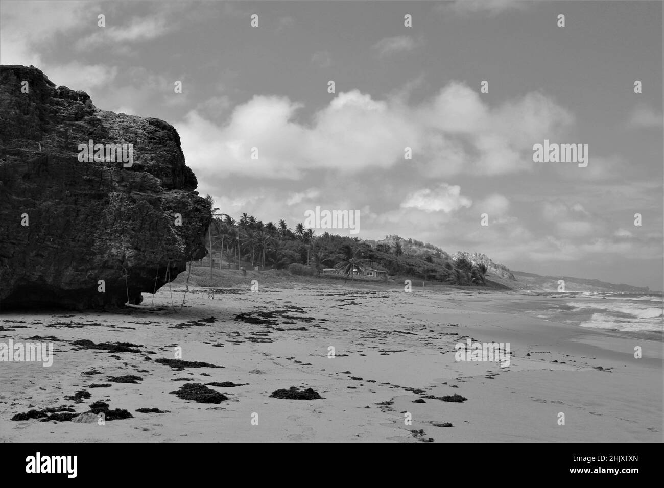 Scenic view of rocky mountains against palm trees and ocean waves in ...