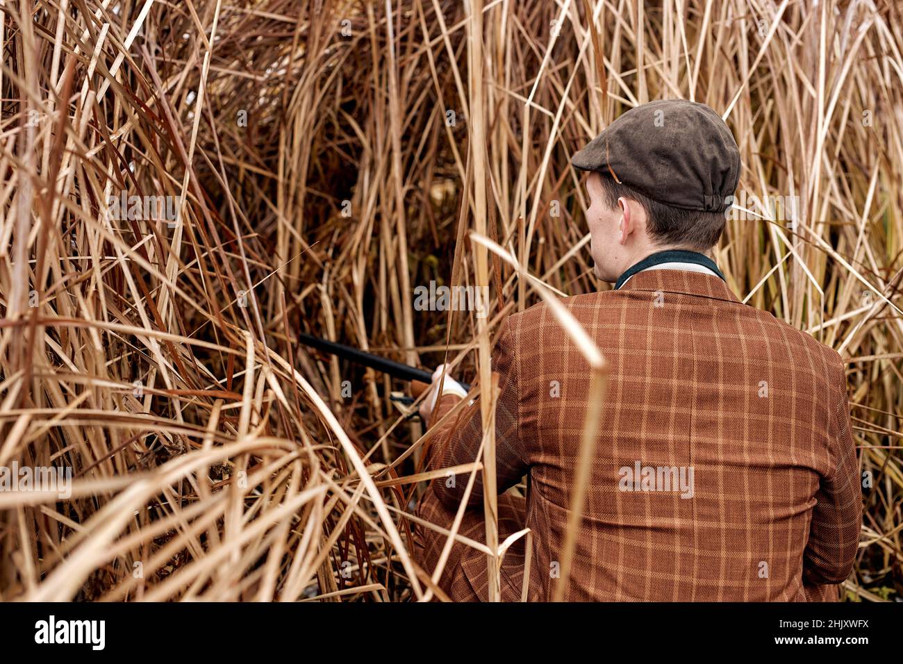 Poacher duck hi-res stock photography and images - Alamy