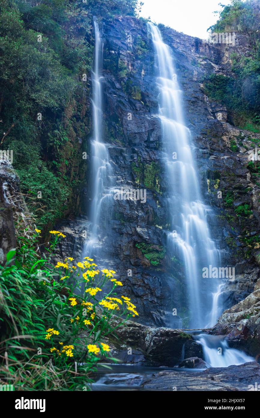 waterfall flowing streams through rocks in forest with blurred water ...