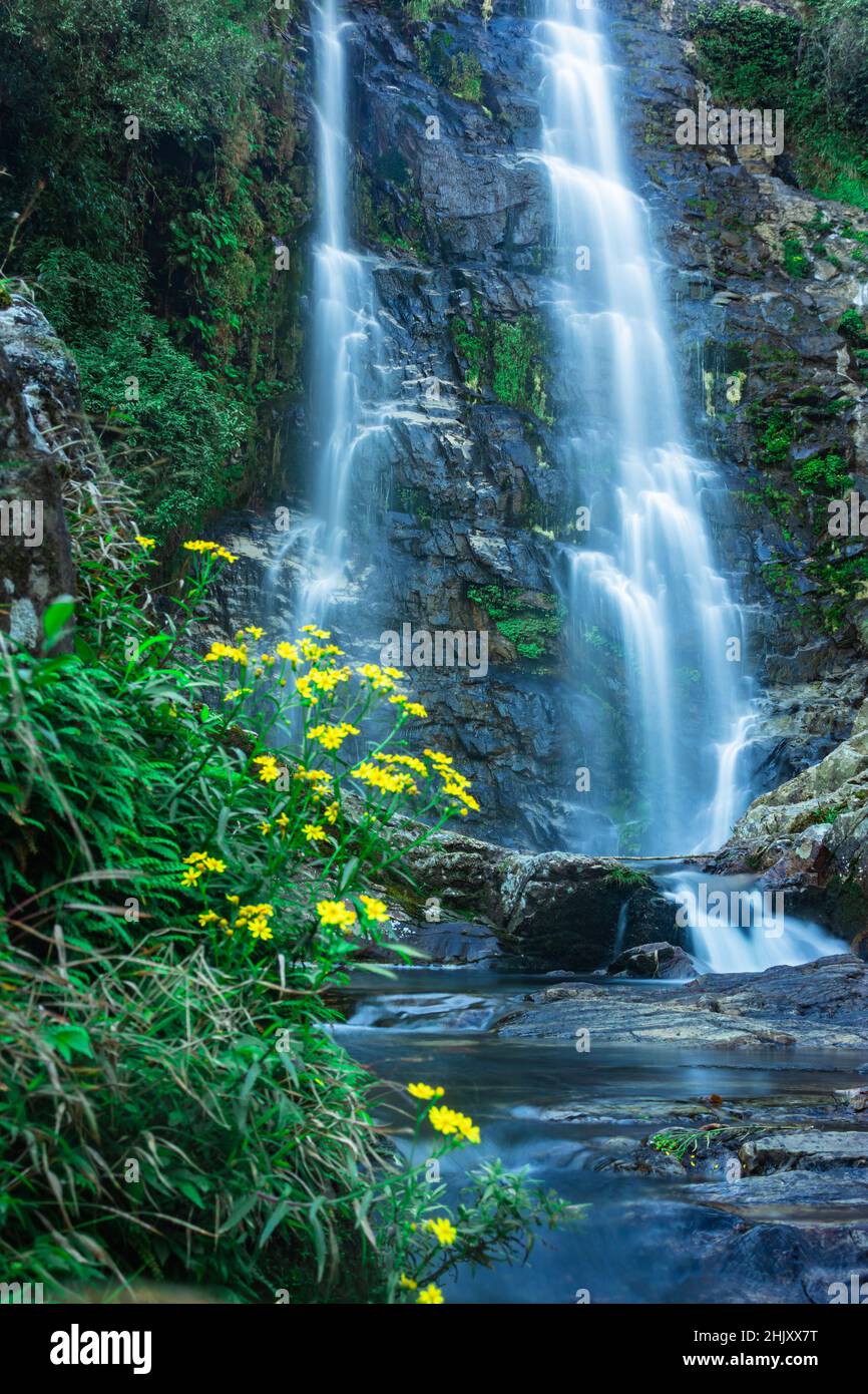 waterfall flowing streams through rocks in forest with blurred water ...