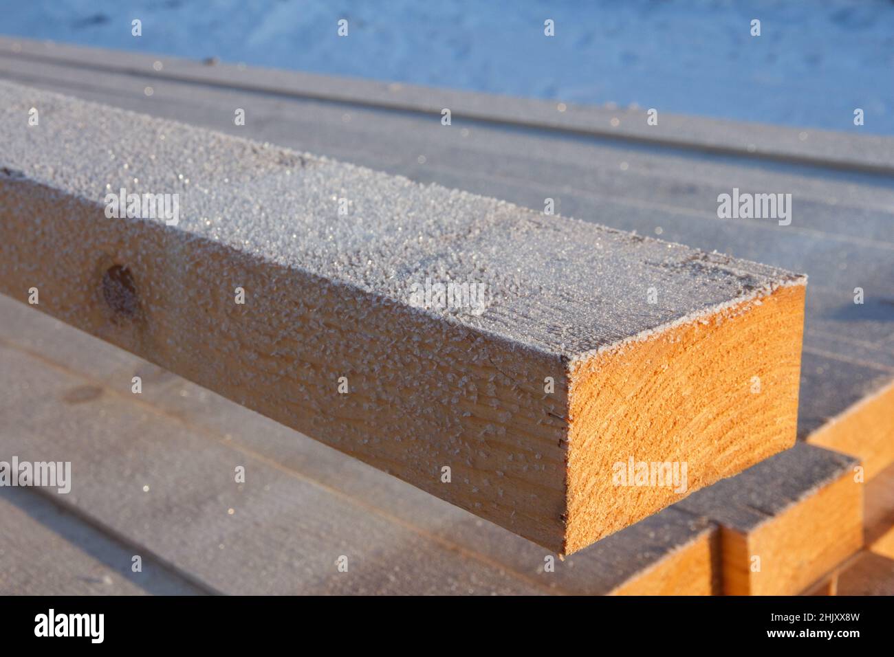 Frost detail alaska hi-res stock photography and images - Alamy