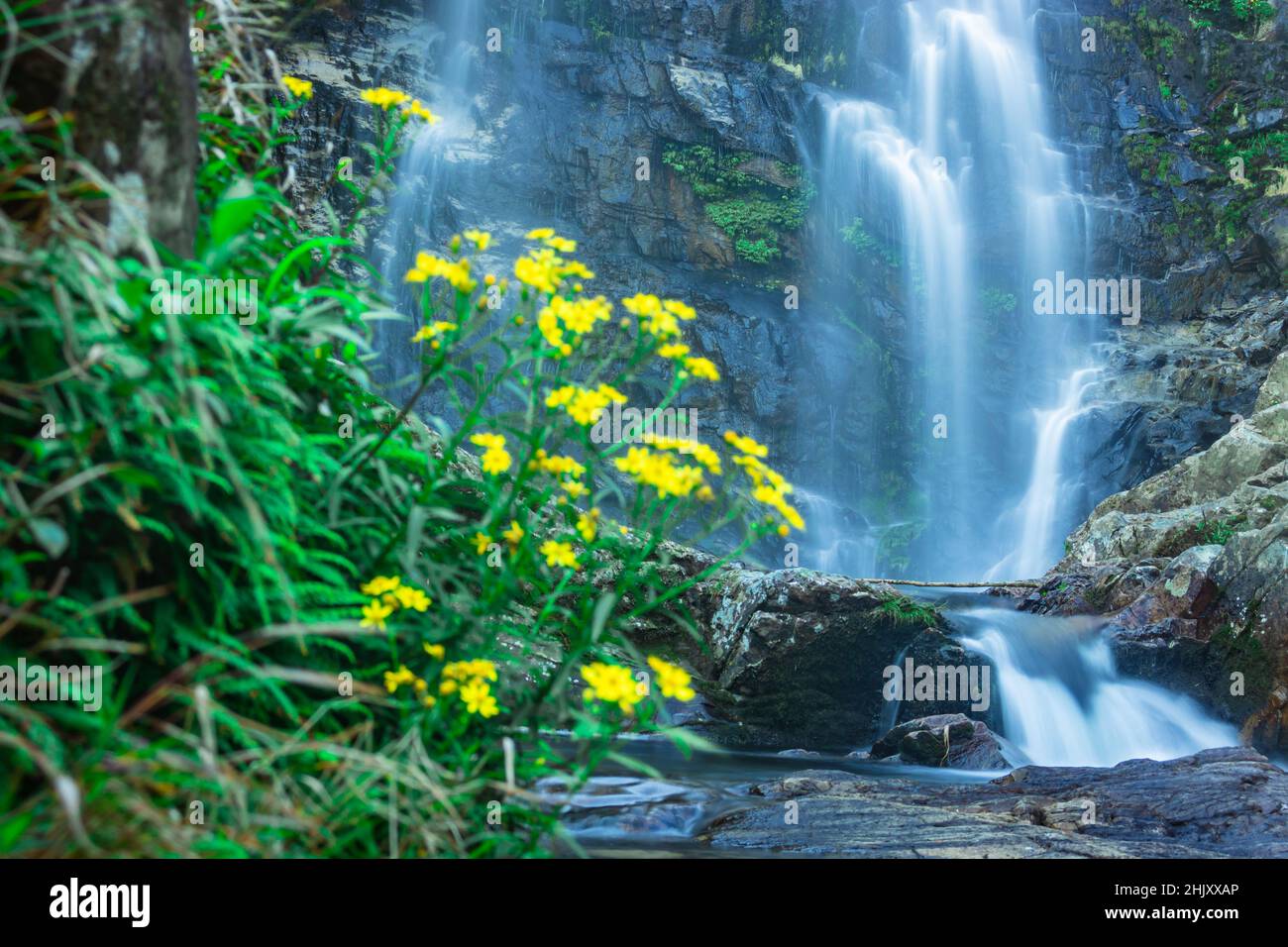 waterfall flowing streams through rocks in forest with blurred water ...