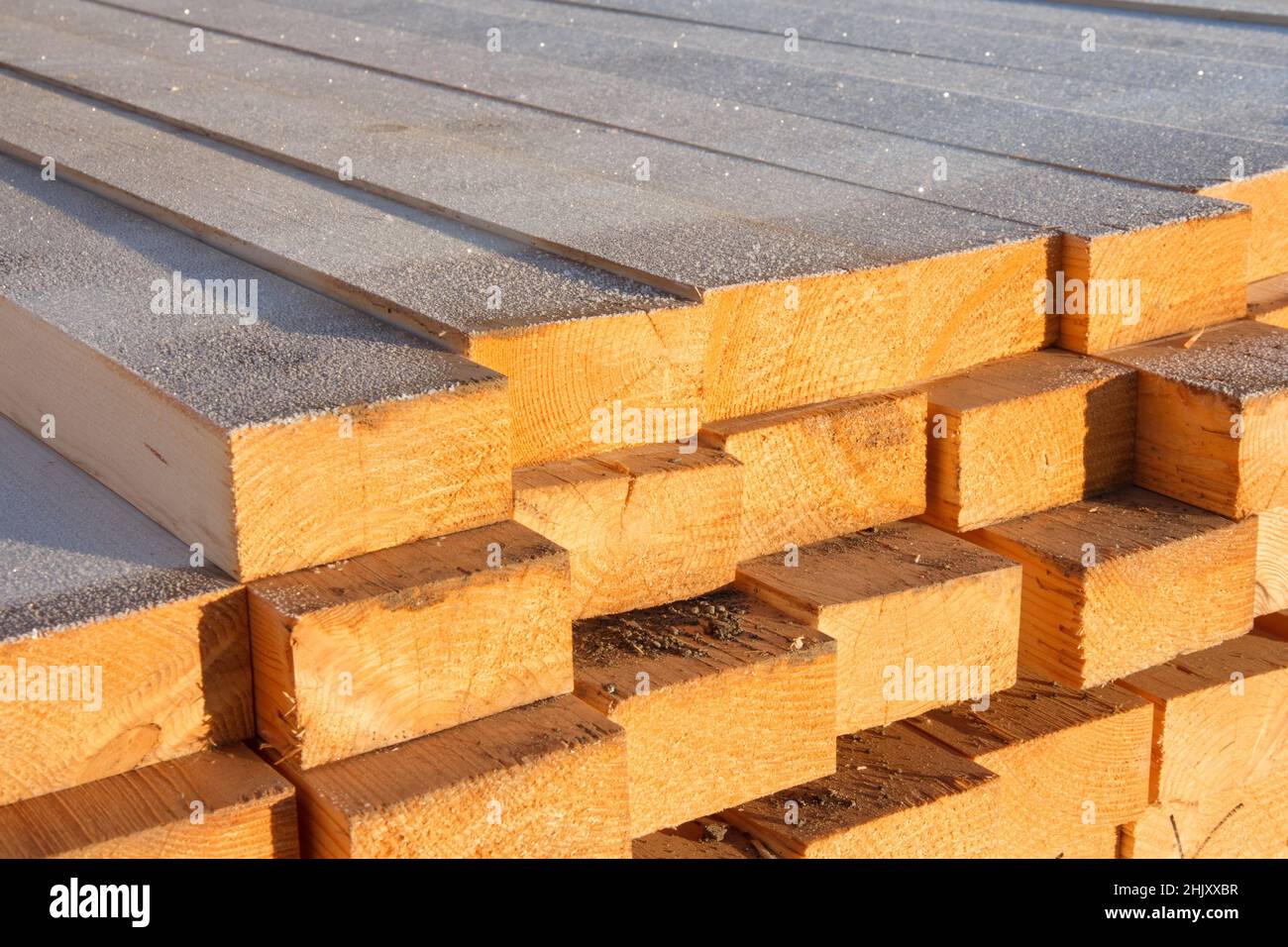 Frost detail alaska hi-res stock photography and images - Alamy