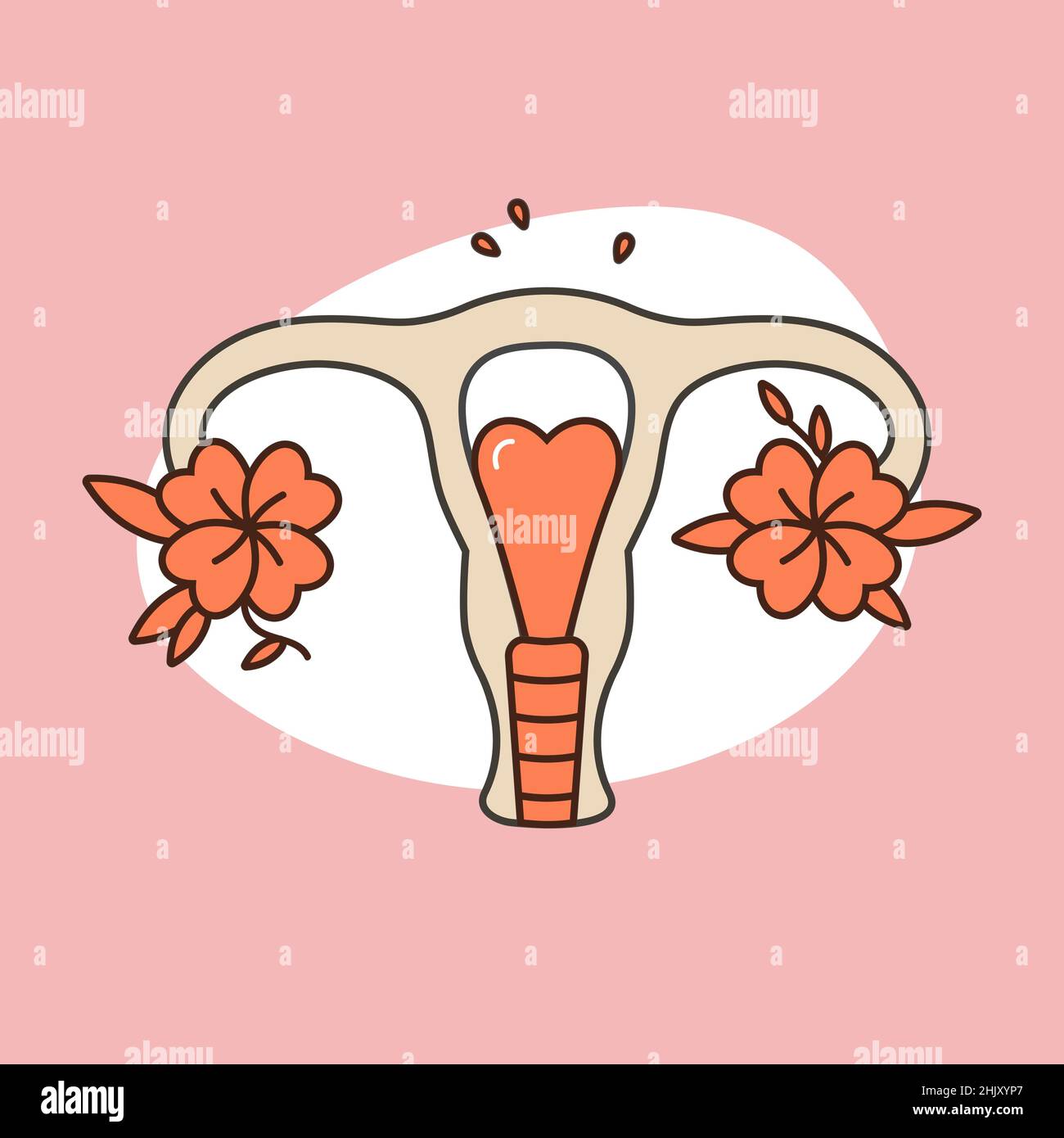 Vector illustration female reproductive system in flowers. Woman ...