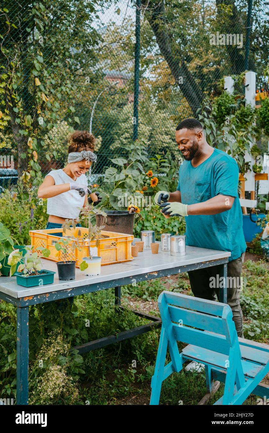 Community of planting food hi-res stock photography and images - Alamy