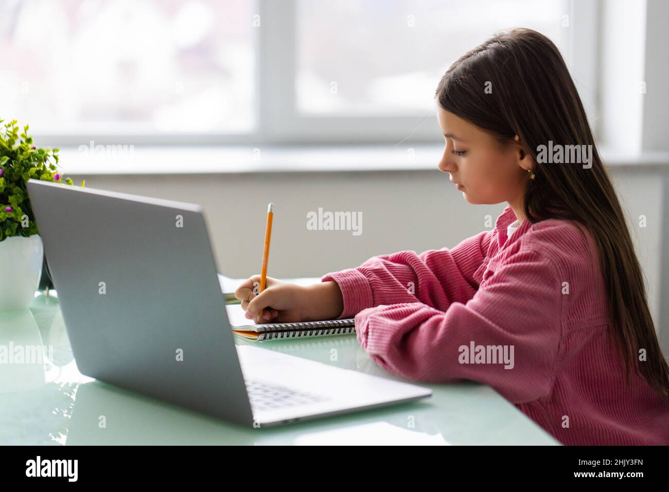 Happy small smart kid do task assignment for school with books ...