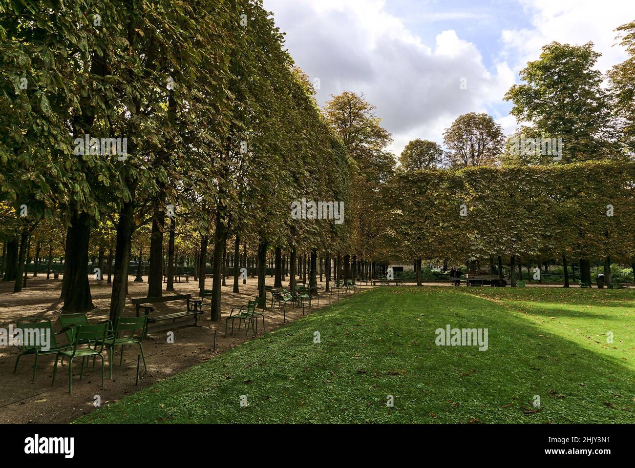 Rows of trees in the summer park in Paris. France Stock Photo - Alamy