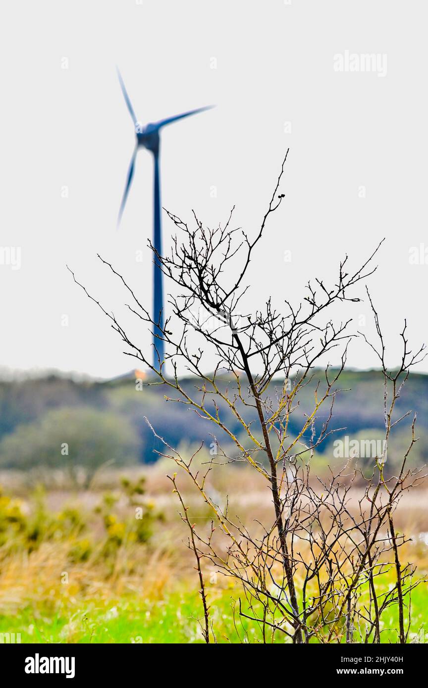 Wind turbine on nature reserve hi-res stock photography and images - Alamy