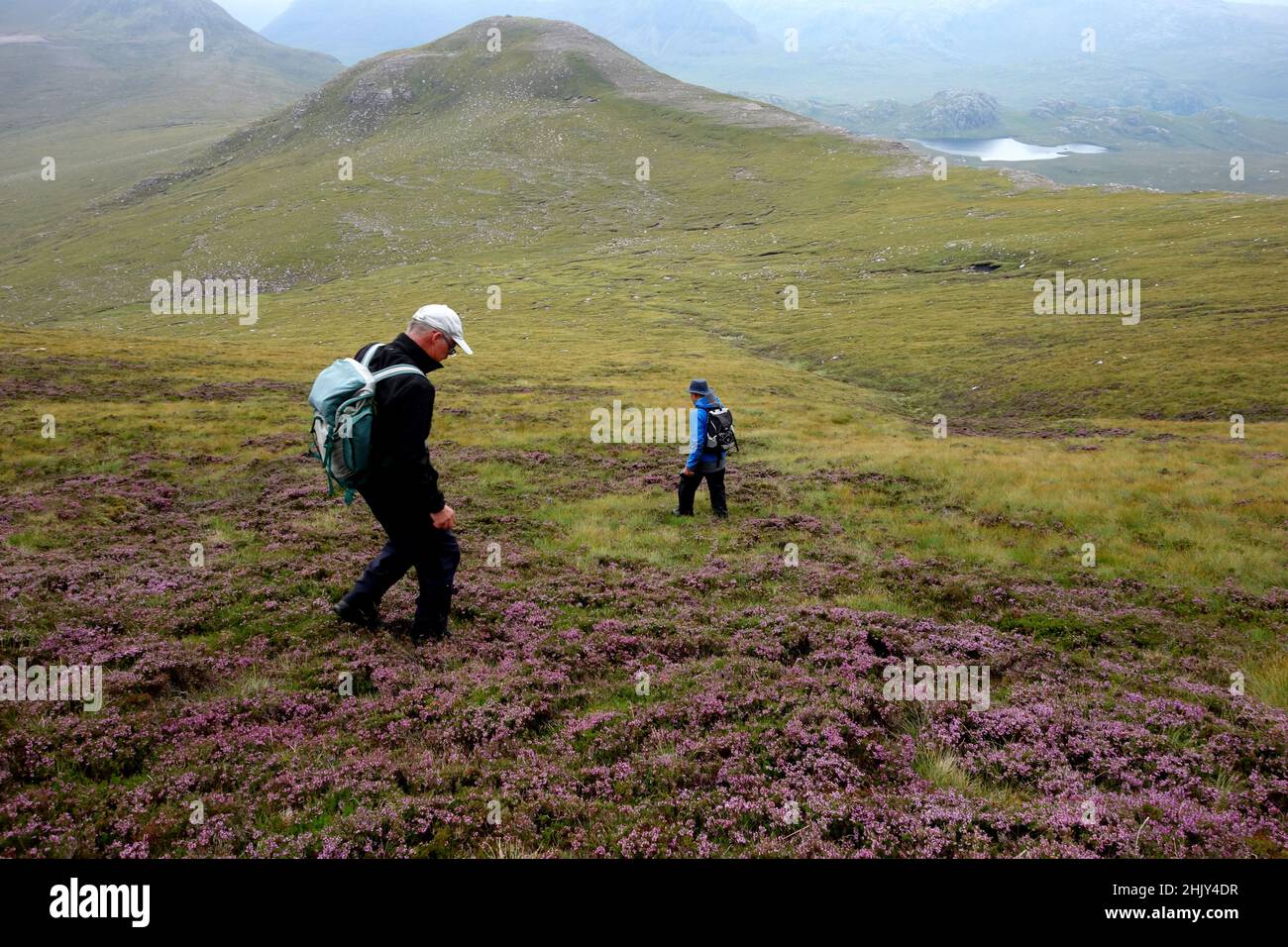 Two Men Walking on Path Through Heather from the Scottish Mountain ...