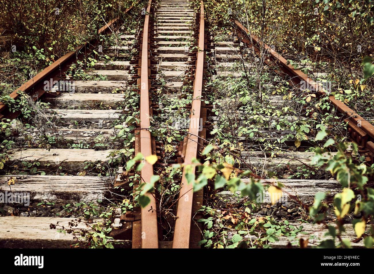Disused railway lines hi-res stock photography and images - Alamy