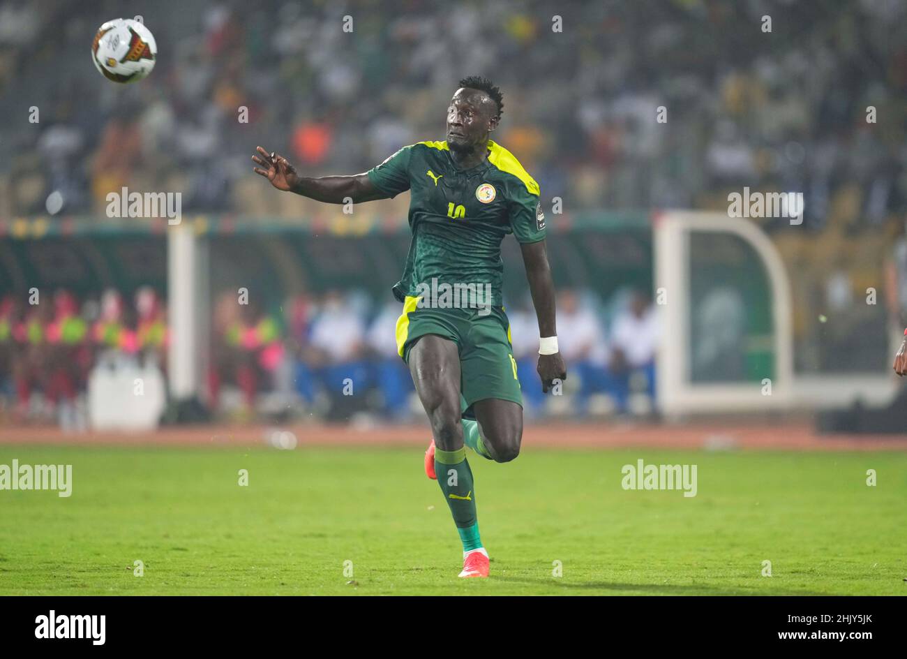 Yaounde, Cameroon, January, 30, 2022: Famara Diédhiou of Senegal during Senegal versus ...