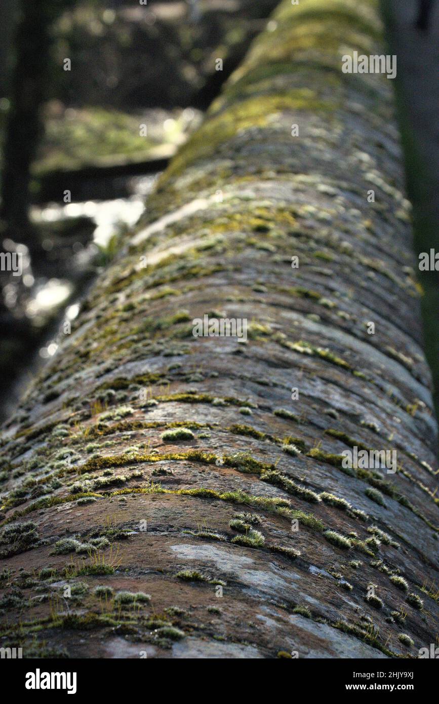 Bridge along Leighton Buzzard Canal Developed using darktable 3.2.1 ...