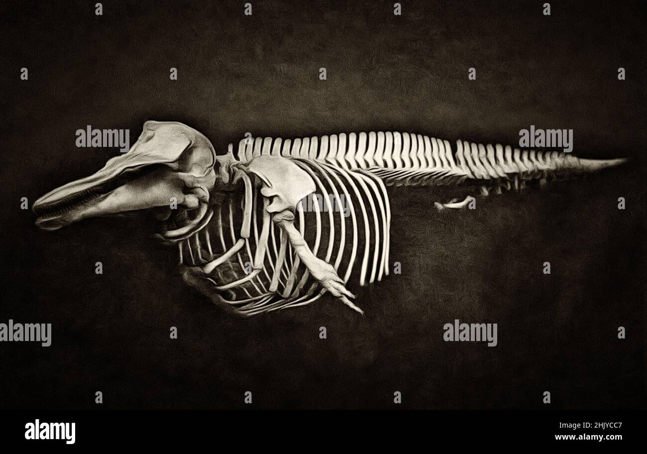 Aphics High Resolution Stock Photography and Images - Alamy