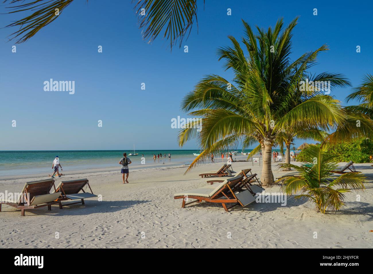 Palmenstrand, Isla Holbox, Quintana Roo, Mexiko Stock Photo - Alamy