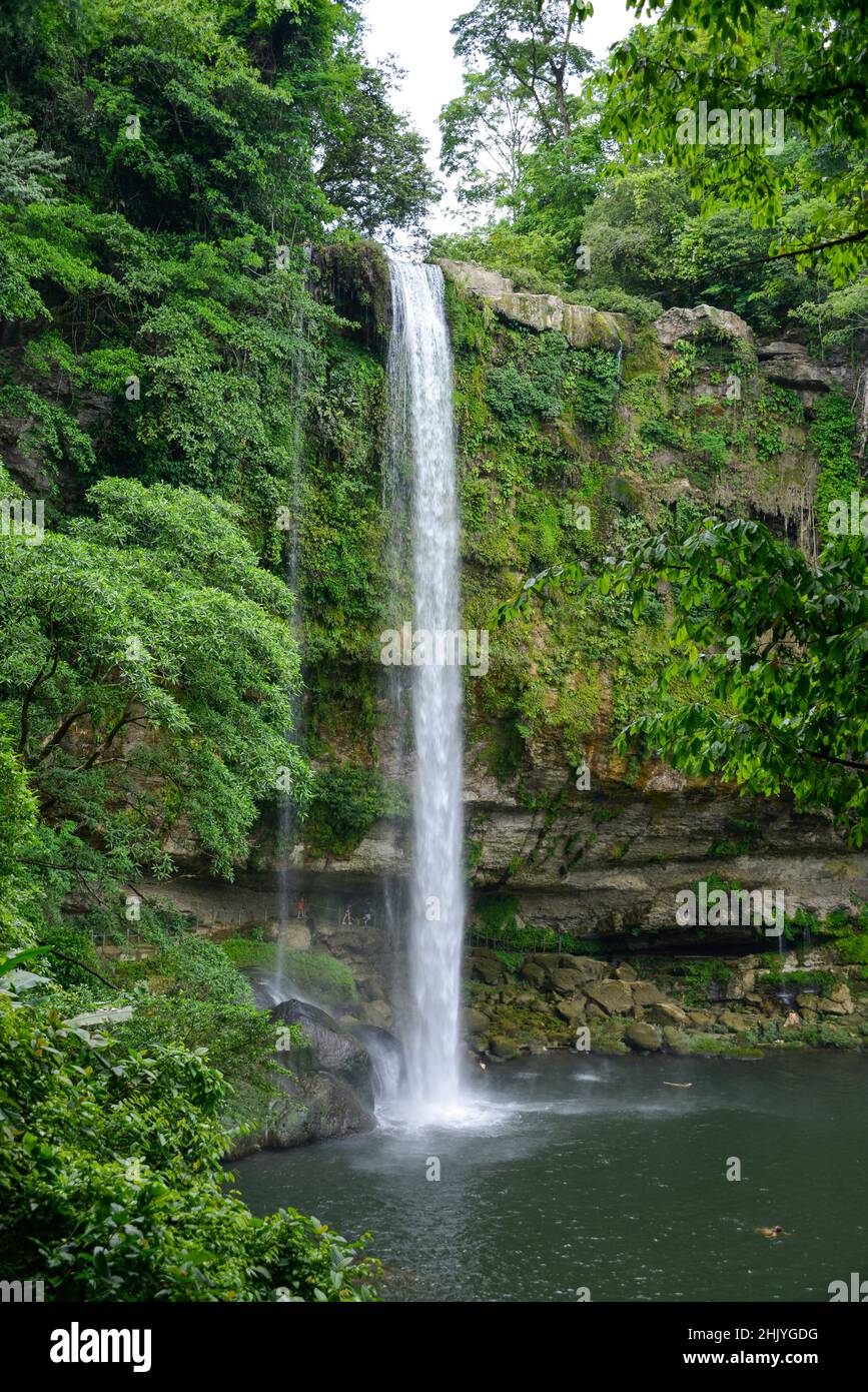Wasserfall pflanzenwelt hi-res stock photography and images - Alamy