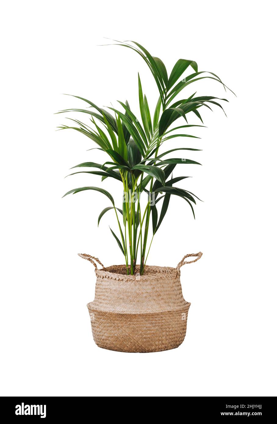 Pot in rural home Cut Out Stock Images & Pictures - Alamy