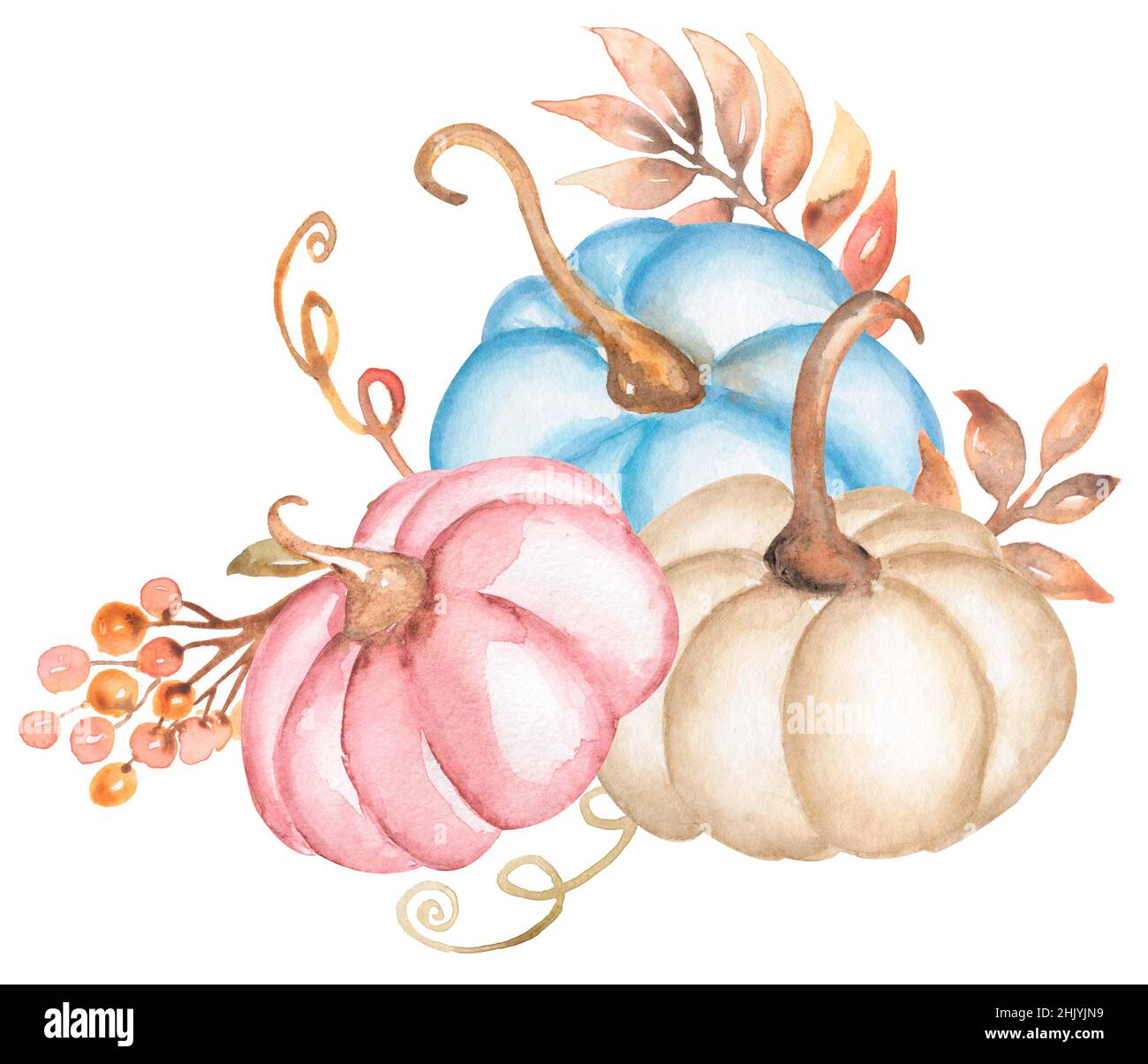 Pumpkin Clipart. Watercolor hand drawn pink and blue pumpkins and ...