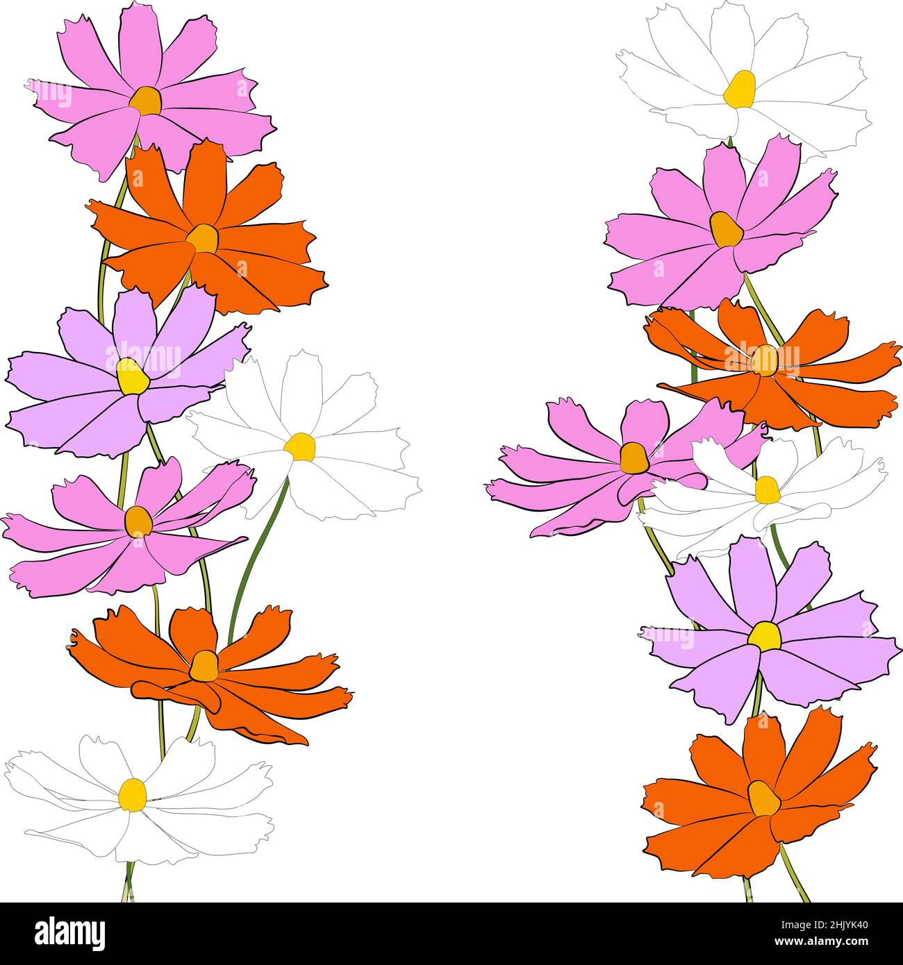 Border of cosmos flower branch vector illustration isolated on white ...