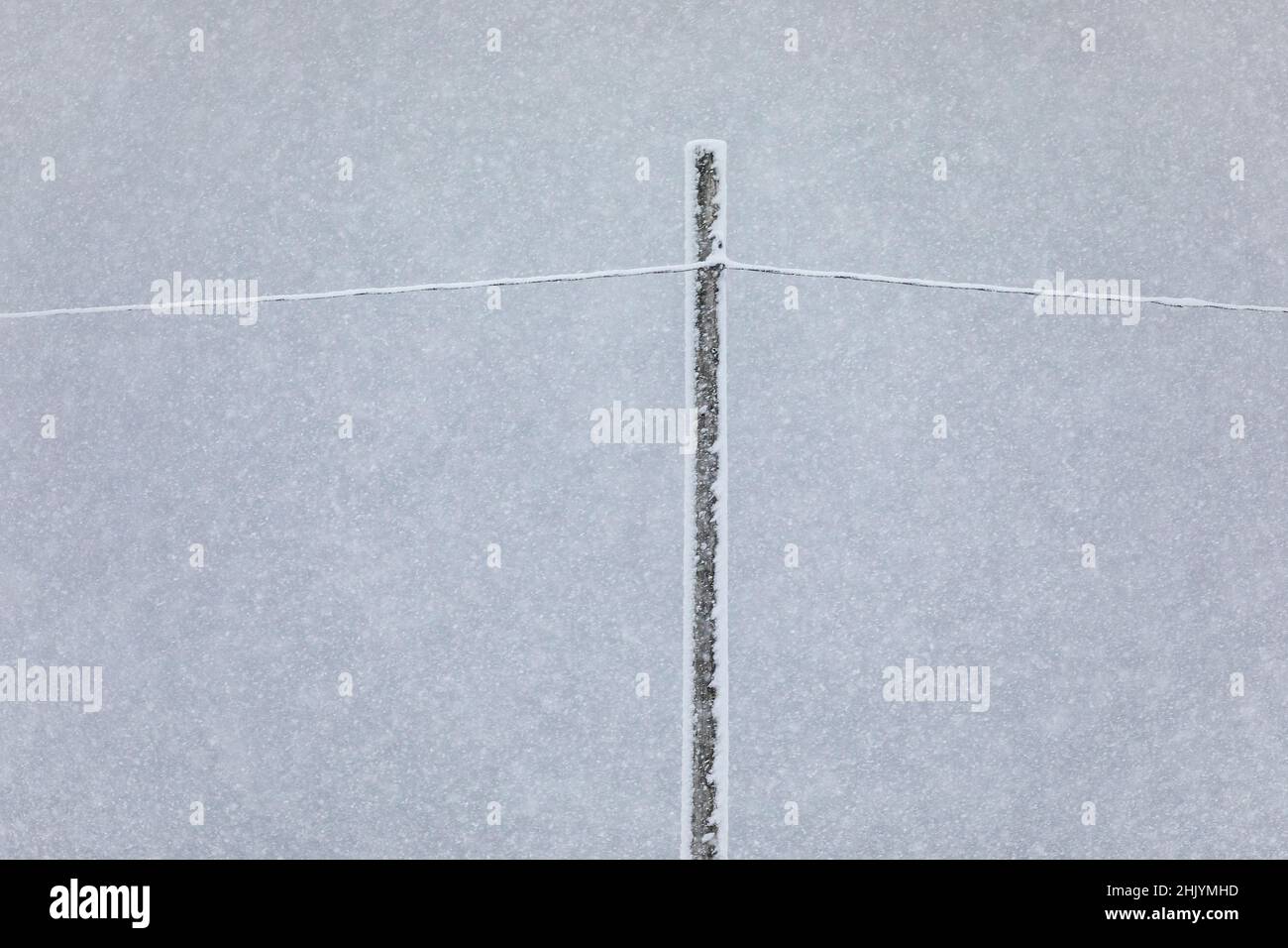 Telegraph pole and wire in snow Stock Photo - Alamy