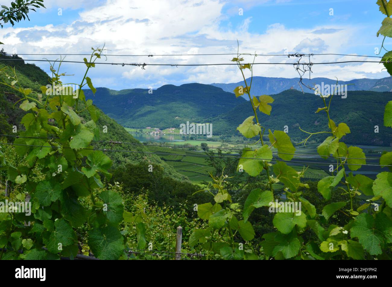 Lago di Caldaro Stock Photo - Alamy