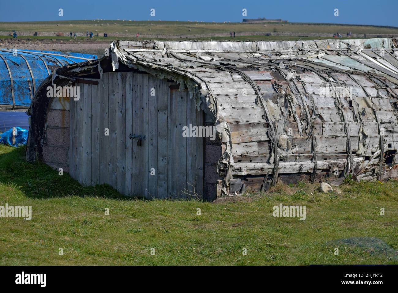 Boat hut on Holy Island Stock Photo - Alamy