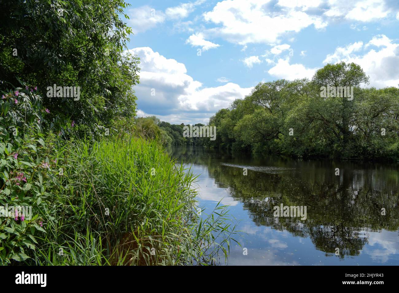 Tree reflections in a river Stock Photo - Alamy