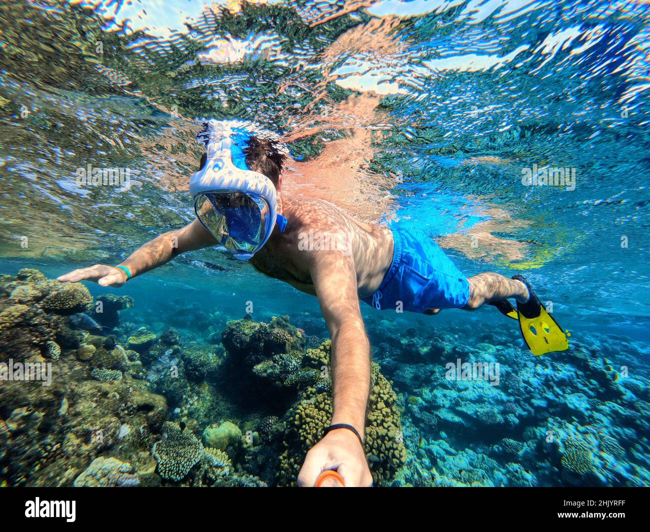 Snorkel swim in coral reef in red sea. Exotic tropics paradise with ...