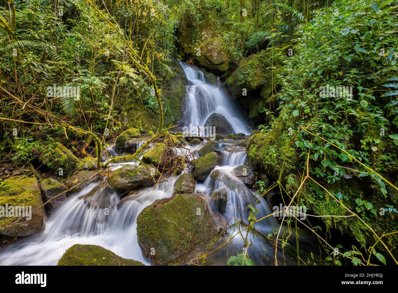 Small wild mountain river, long exposure make milky water. Stunning ...