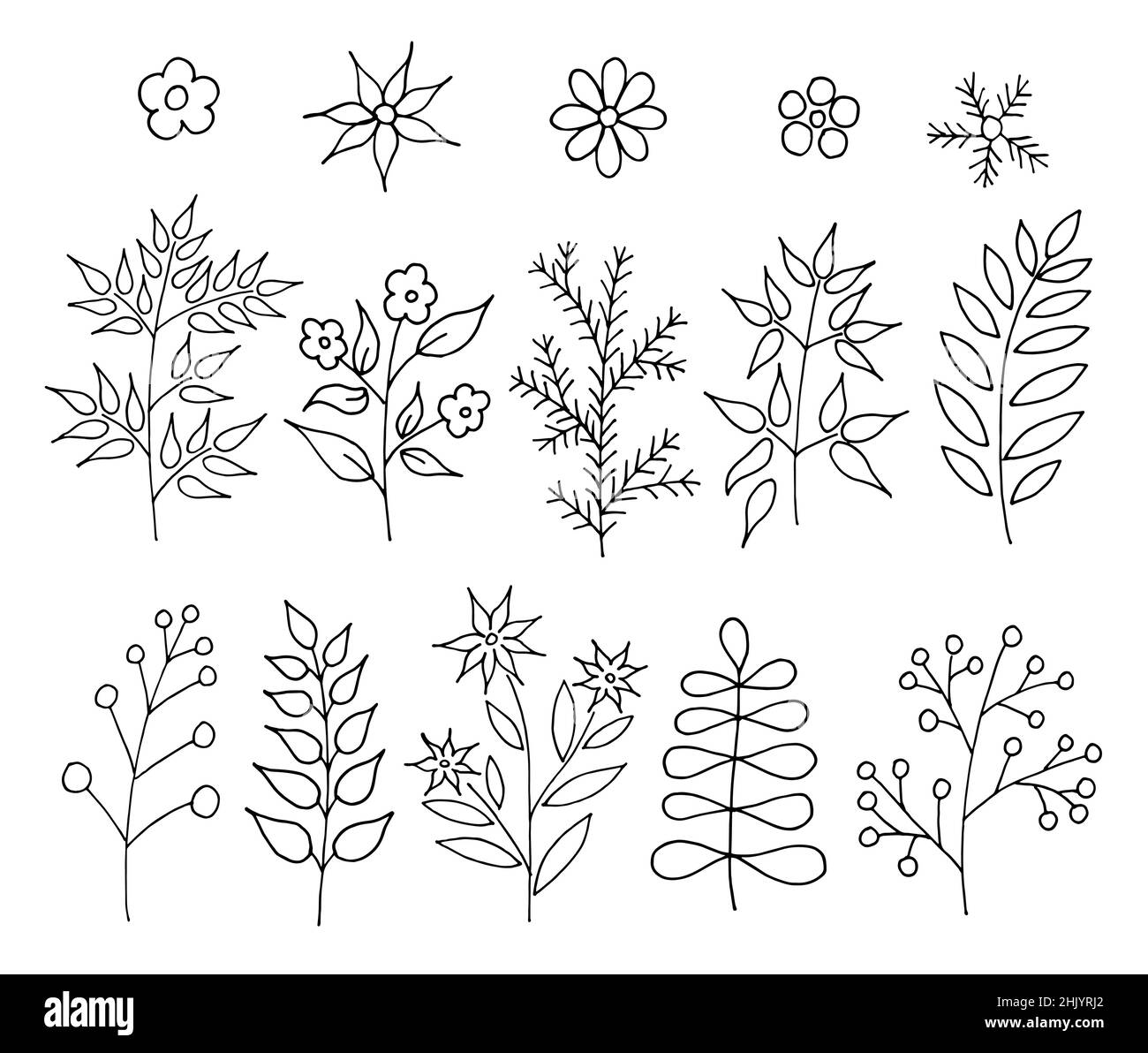 A set of hand-drawn doodle cartoon plants. Vector floral design ...