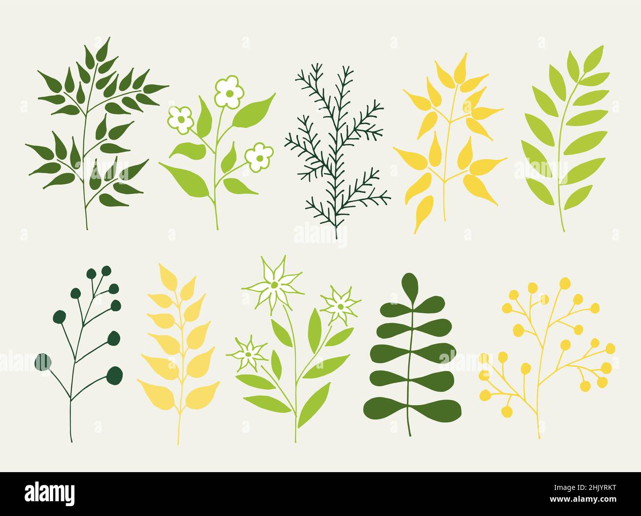 A set of hand-drawn doodle cartoon plants. Vector floral design ...