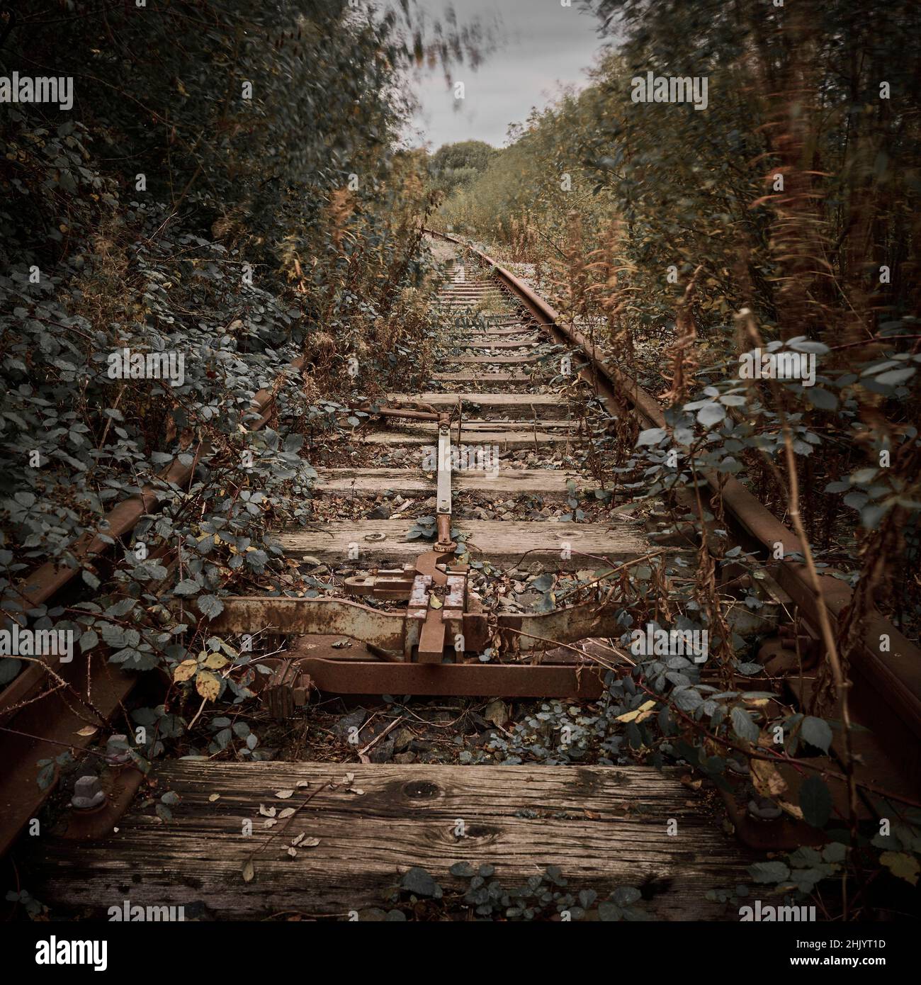 Overgrown railway track hi-res stock photography and images - Alamy