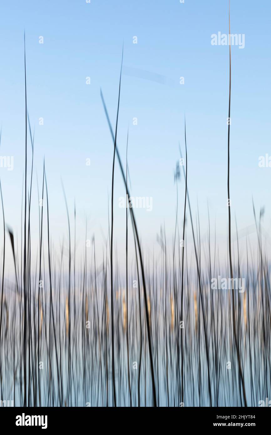 Frozen morning on Annecy lake, France Stock Photo - Alamy