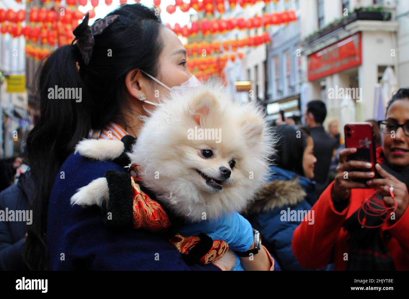 London, UK. 1st Feb, 2022. Pomeranian in traditional coat in Gerrard ...