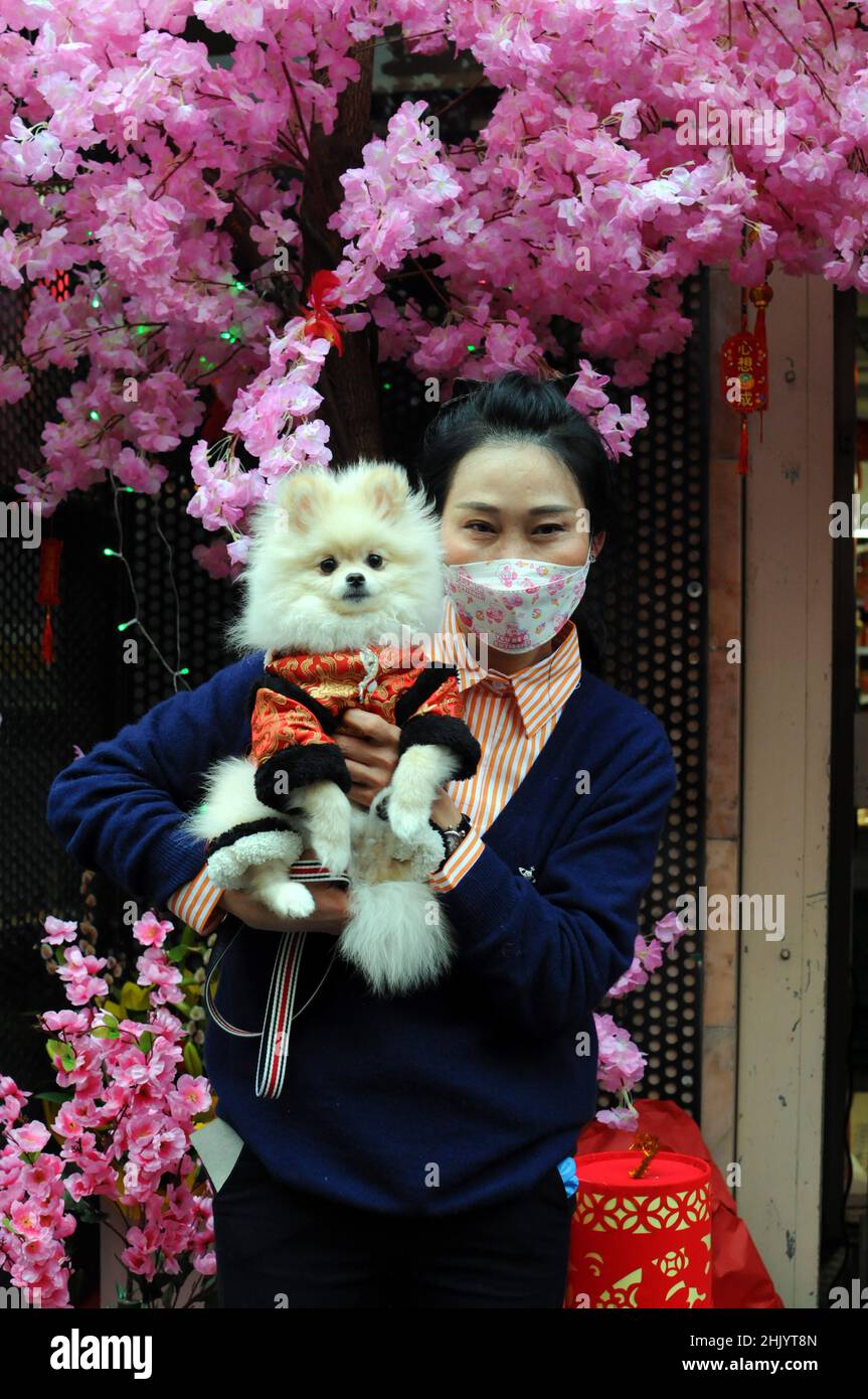 London, UK. 1st Feb, 2022. Pomeranian in traditional coat in Gerrard ...