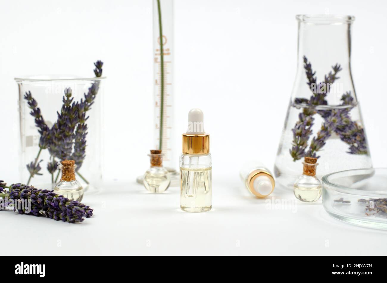 Laboratory research of lavender. Lavender oil bottle and medical flask ...