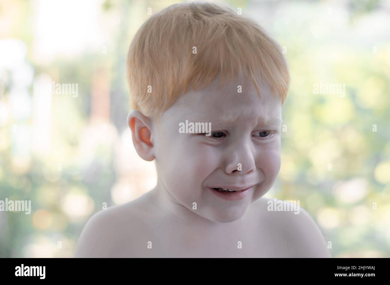 Portrait a 4 year old boy hi-res stock photography and images - Alamy