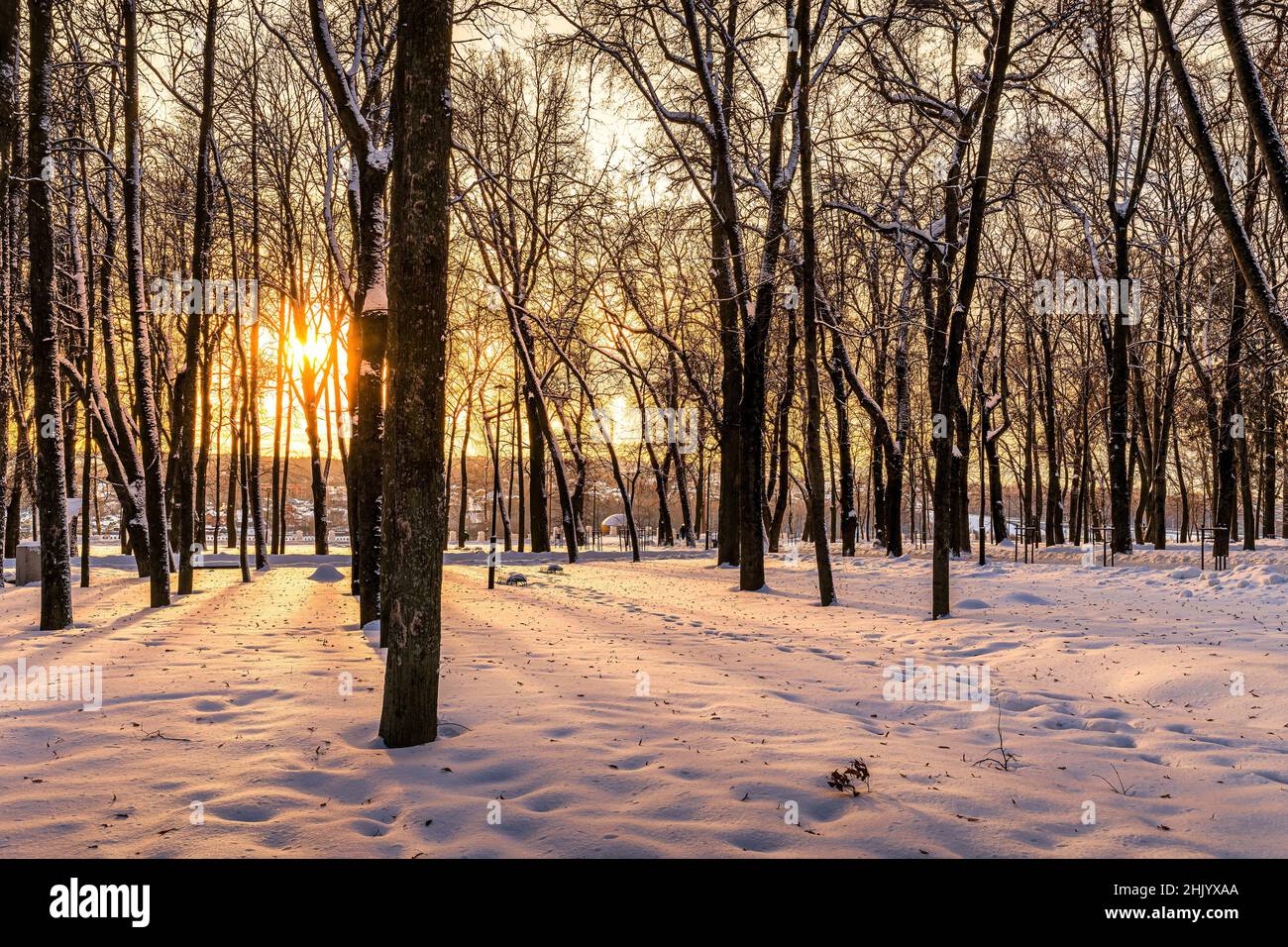 Sunset or dawn in a winter city park with benches and sidewalks covered ...