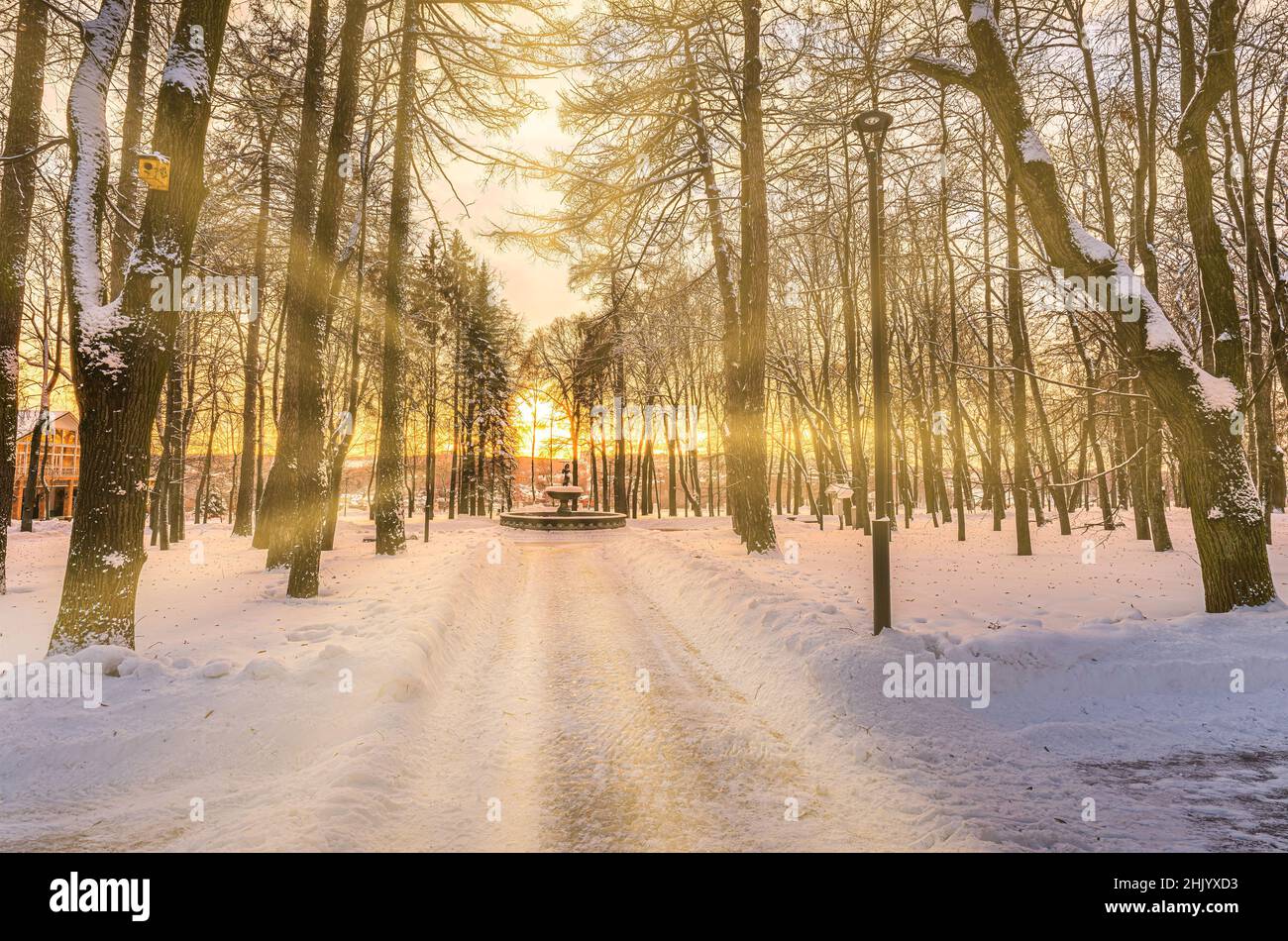 Sunset or dawn in a winter city park with benches and sidewalks covered ...