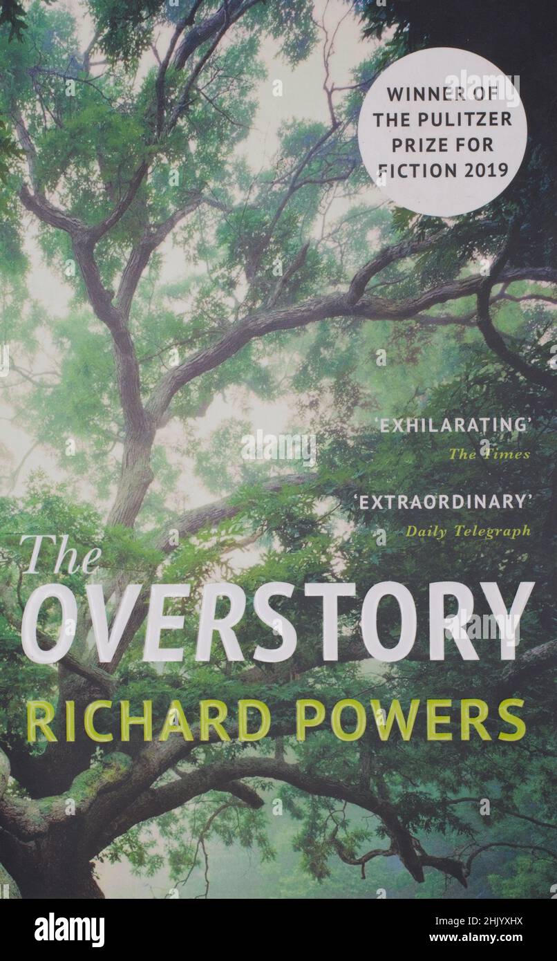 Overstory hi-res stock photography and images - Alamy