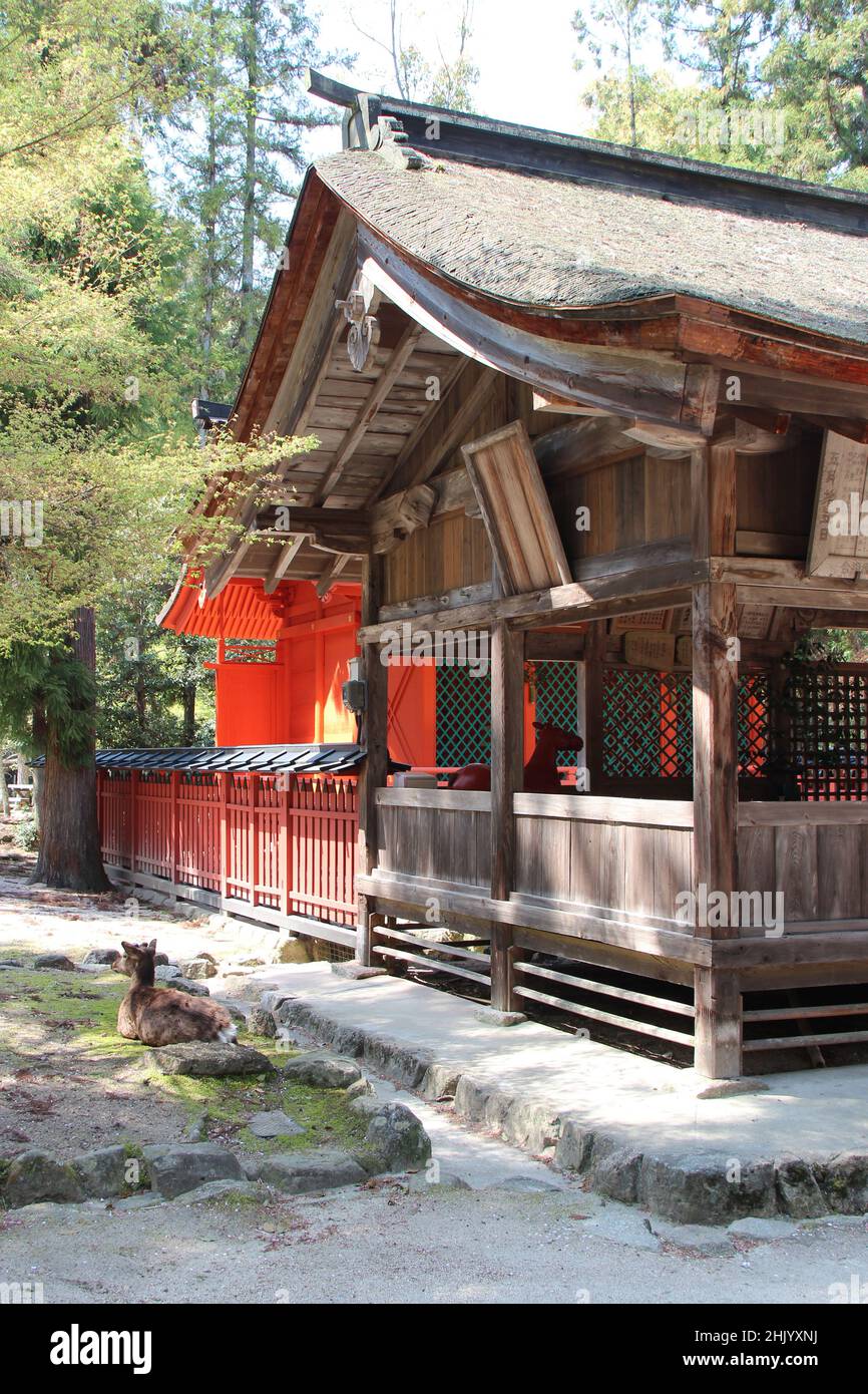 omoto sanctuary in miyajima in japan Stock Photo - Alamy