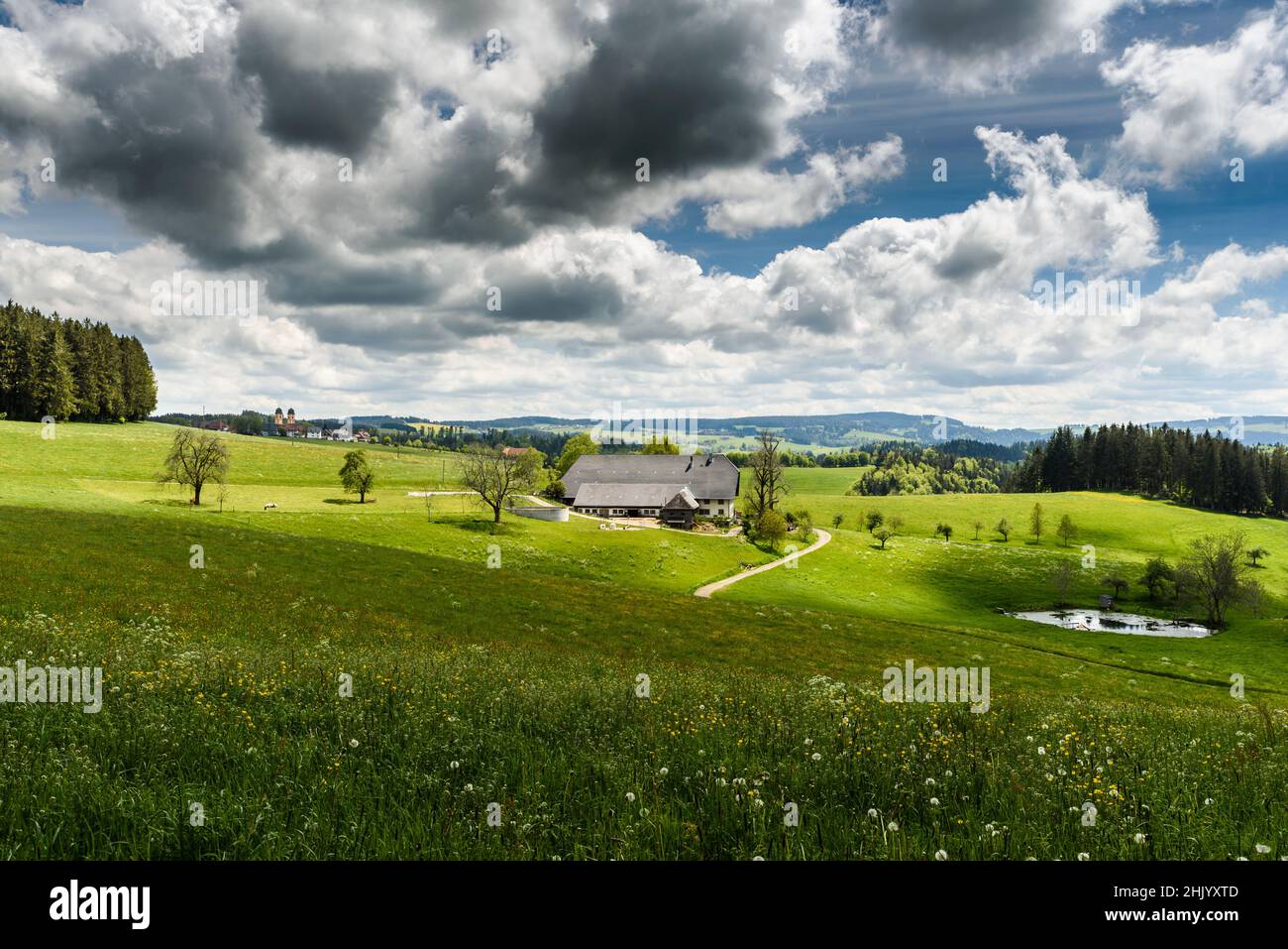 Traditional Black Forest farm house in hilly landscape near St. Maergen ...