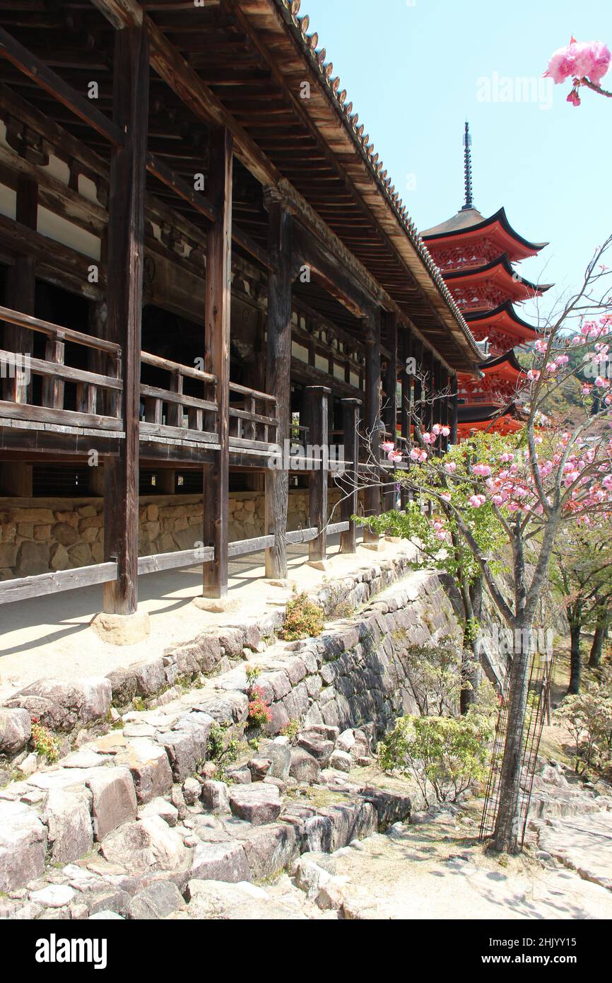 senjokaku pavilion in miyajima in japan Stock Photo - Alamy