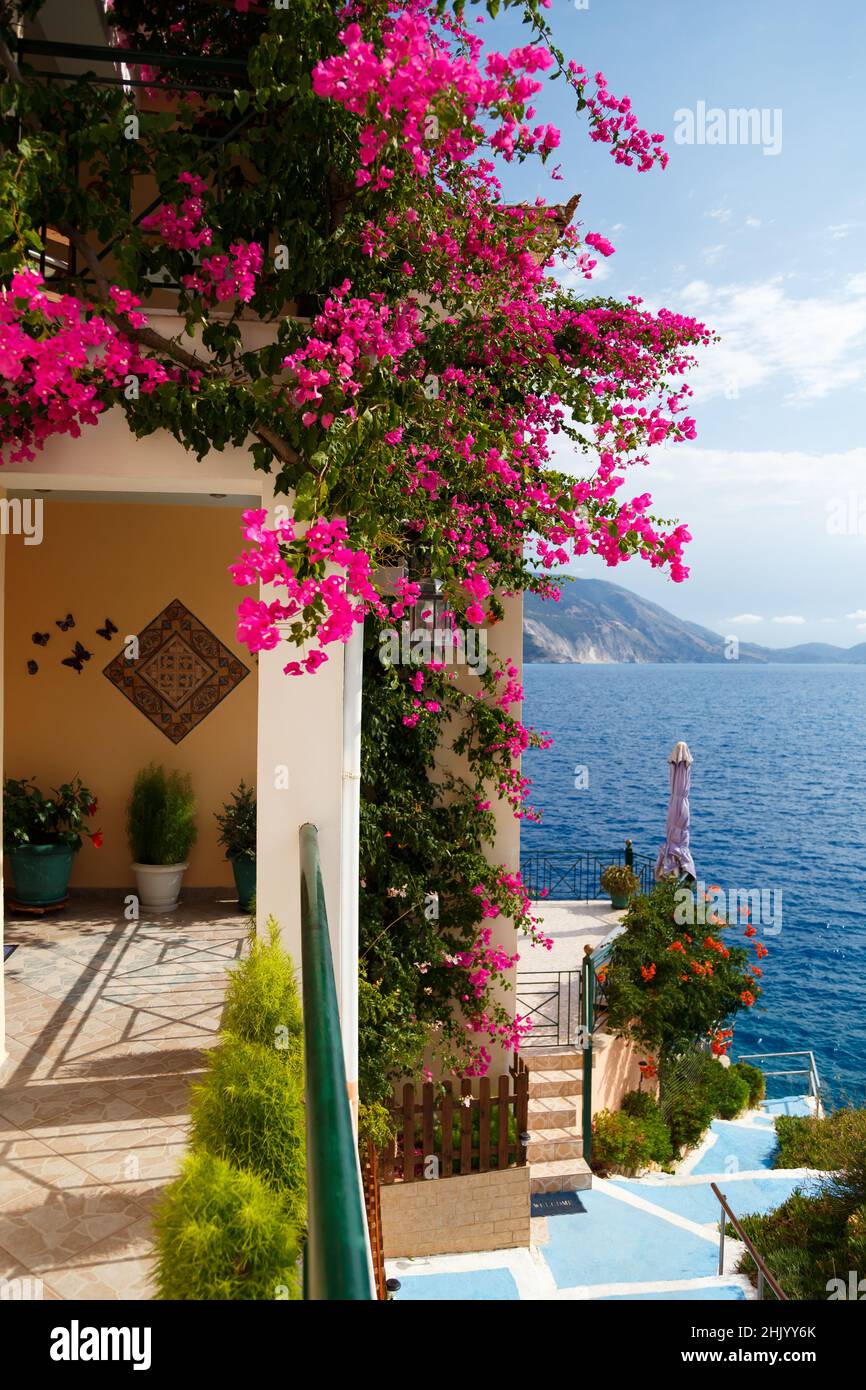 Small terrace of traditional greek house and blue stairs with sea view ...