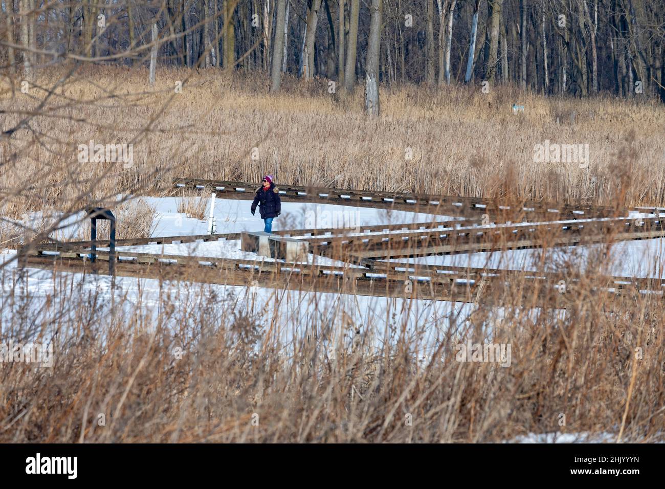 Point rosa marsh hi-res stock photography and images - Alamy