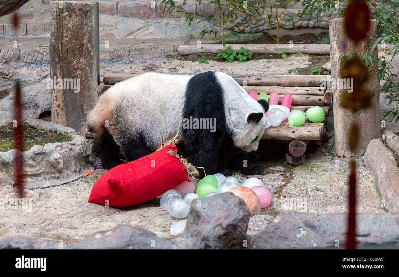 Lin hui hi-res stock photography and images - Alamy