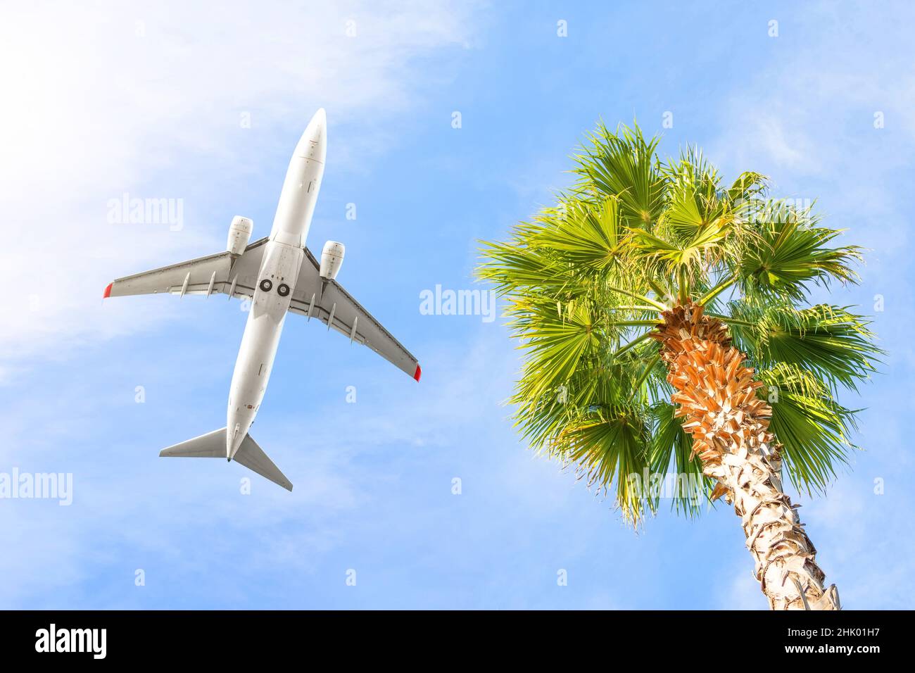 Summer holidays airplane fly against hi-res stock photography and ...