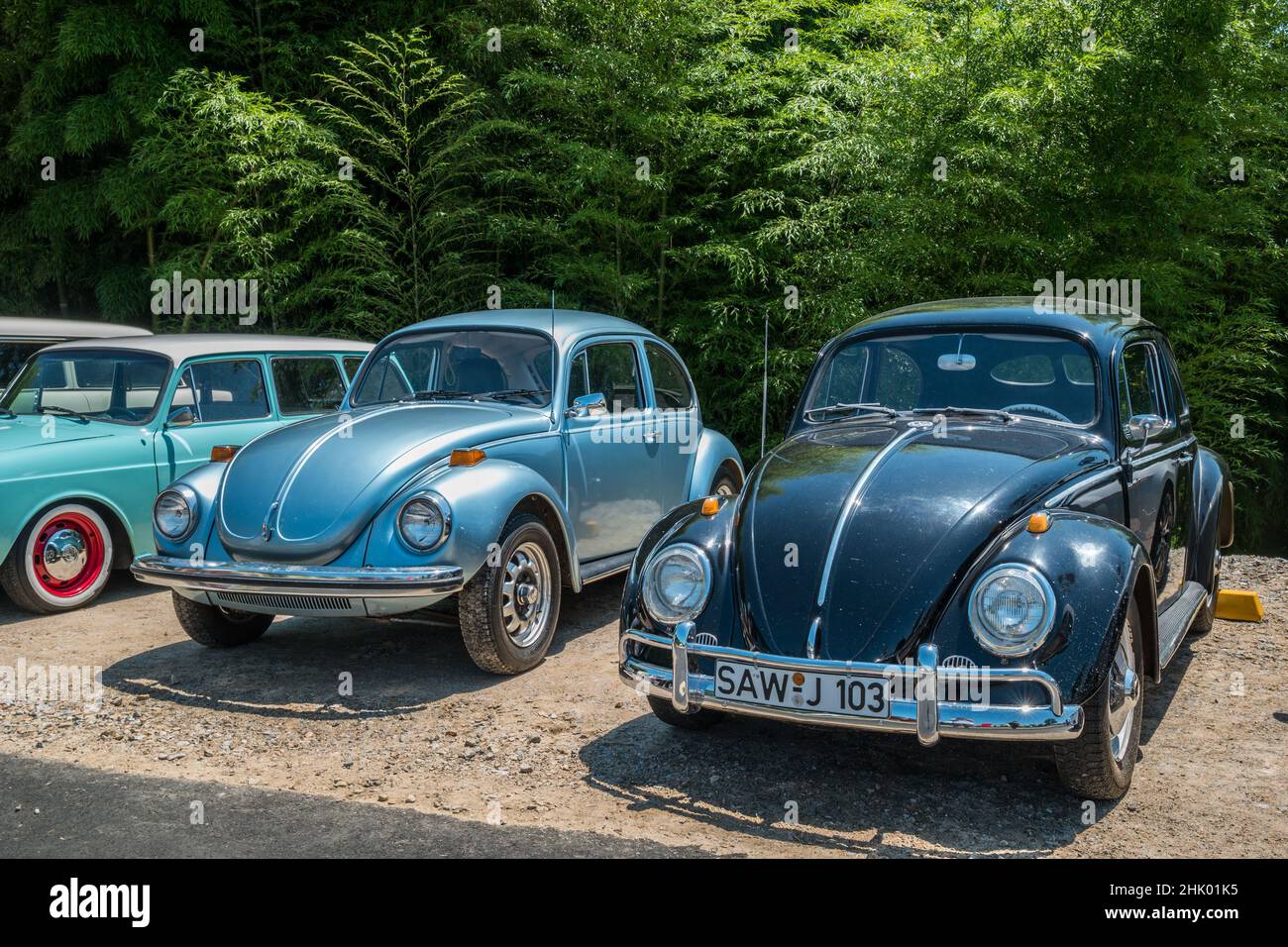 Two vintage Volkswagon cars both restored one is a beetle and the other ...