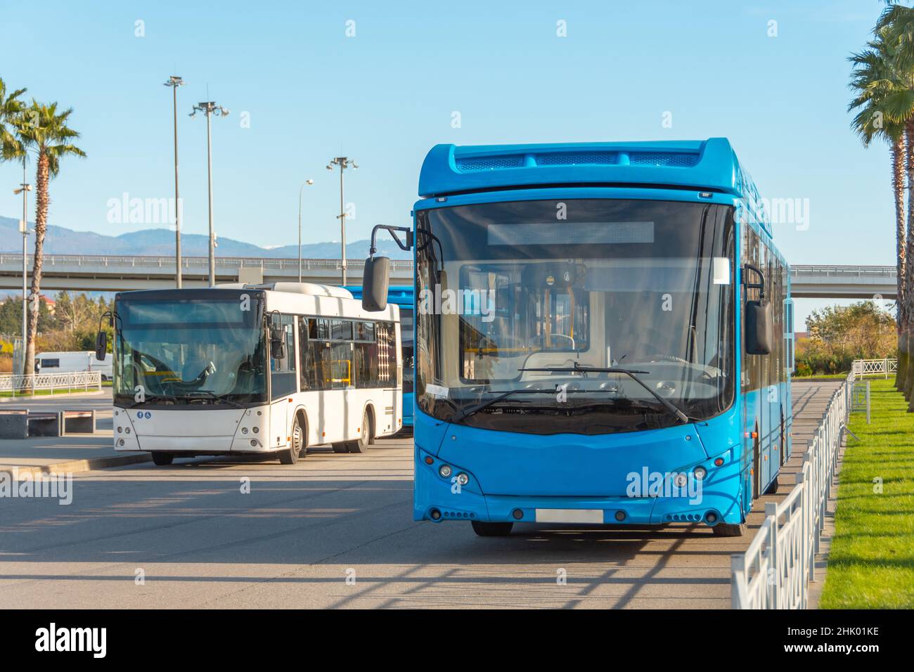 Blue and white buses stand at the final stop of the urban route of ...