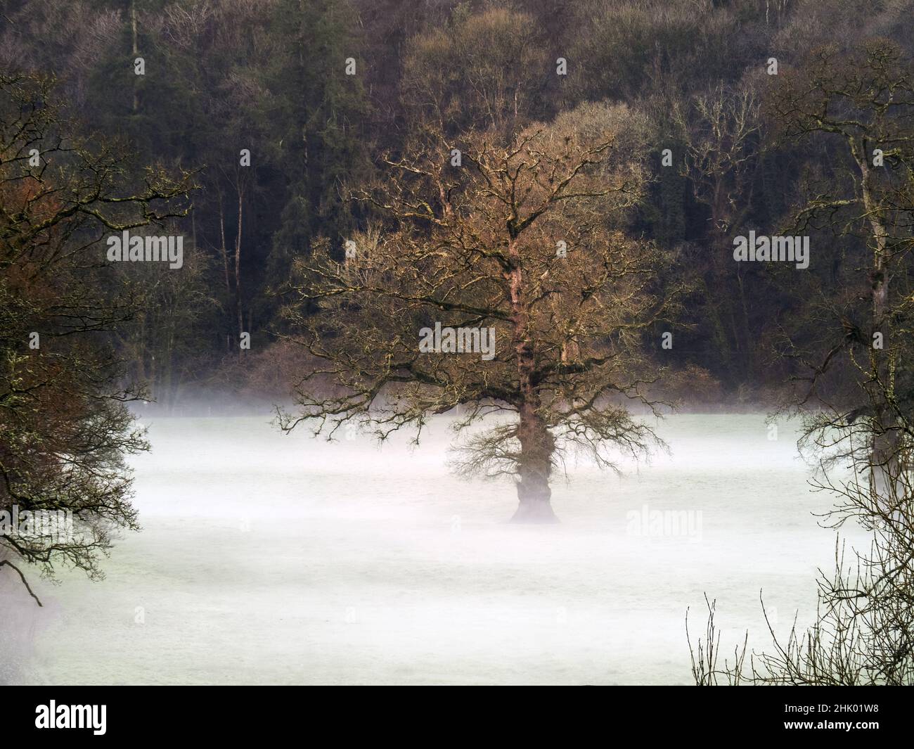 Devon mist hi-res stock photography and images - Alamy